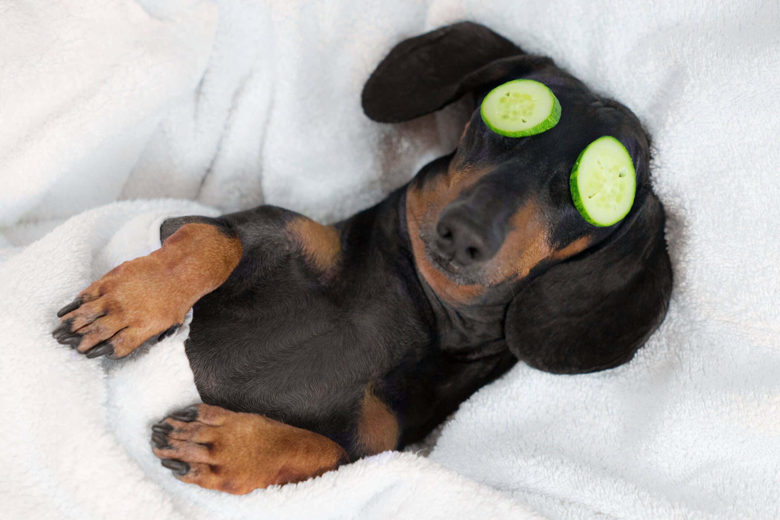 Destress, relax and have fun - UK College of Hypnosis & Hypnotherapy ...